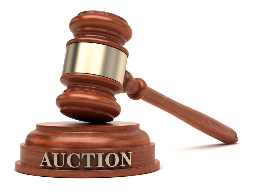 Your Charity Auction Guide: What They Are and How They Work - OTBVA